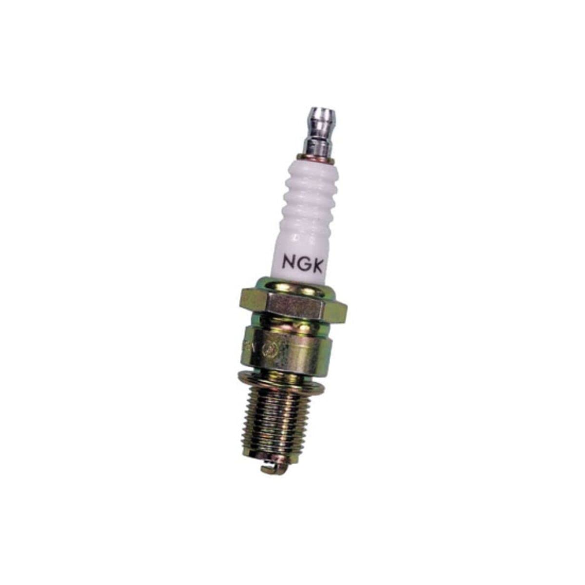 Amazon.com: Spark Plug Ngk DCPR6E : Automotive