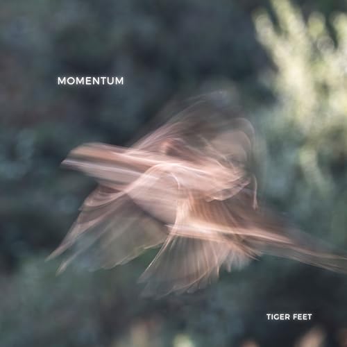 Momentum von Tiger Feet bei Amazon Music - Amazon.de