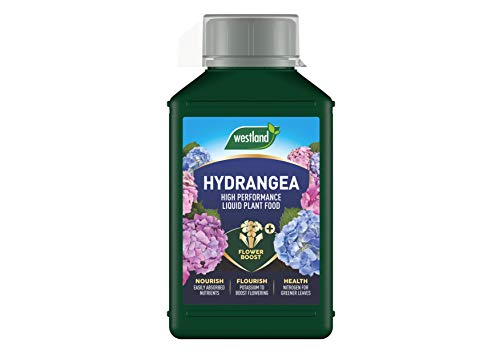 This is Best Feed For Hydrangeas Based in My Tests