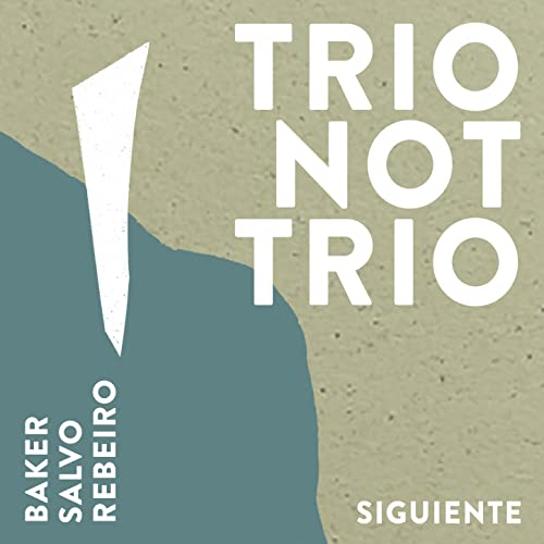 Spiele Trio Not Trio - Siguiente von Aidan Baker, Sofía Salvo & Rohan Rebeiro auf Amazon Music ab