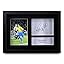 HWC Trading Ronaldo R9 Scene 93 Brazil Gifts Printed Signed Autograph ...