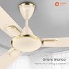Buy Orient Electric Blanco 1200 mm Ceiling Fan | 100% Copper Motor ...
