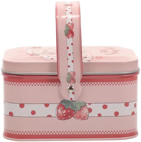 Amazon.com: Cookie Tin Cute Strawberry Candy Tin Container Empty Metal ...
