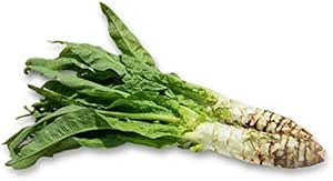 Amazon.com : Asian Spring Tower Chinese Celtuce (100 seeds) : Patio ...