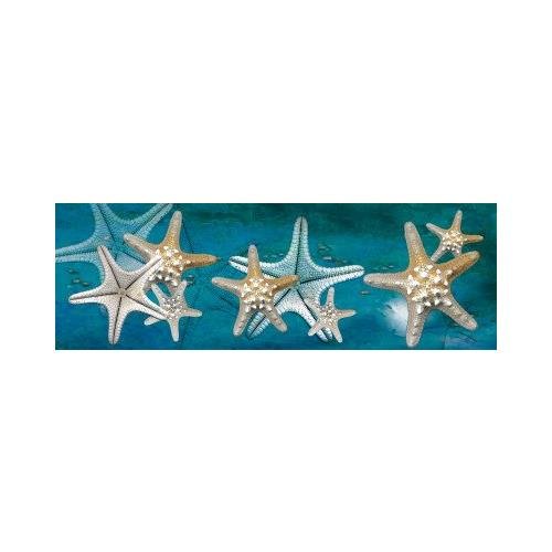 Starfish Collage against an Aqua Teal Background by Melinda Bradshaw ...