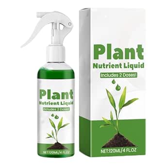 Amazon.com: Lawn Green Grass Spray - 120 Ml Grass Turf Paint Spray ...