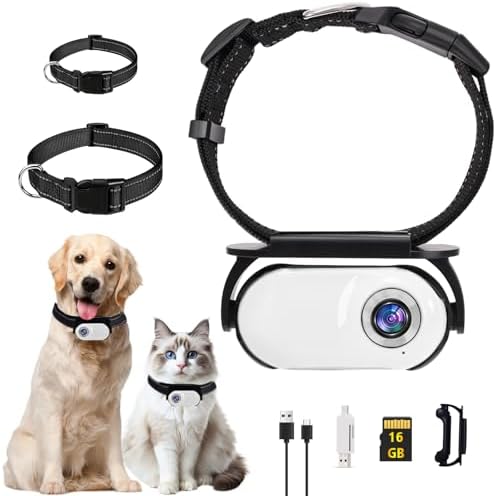 Amazon.com: GHWMYD Updated 360° Rotating Cat Camera Collar with 16GB SD ...