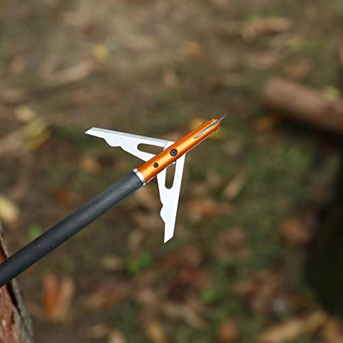 The 30 Best Mechanical Archery Broadheads of 2025 [Verified] - Cherry Picks