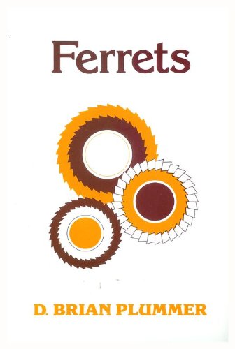 Ferrets: Plummer, Brian: 9781902481012: Amazon.com: Books