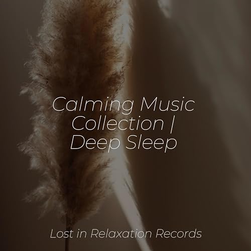 Play Calming Music Collection | Deep Sleep by Meditar Profundamente, Easy Sleep Music & Lullaby ...