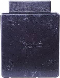 Amazon.com: Engine Control Computer : Automotive