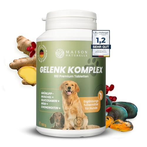 glucosamin chondroitin msm hund - TEST und Erfahrungen