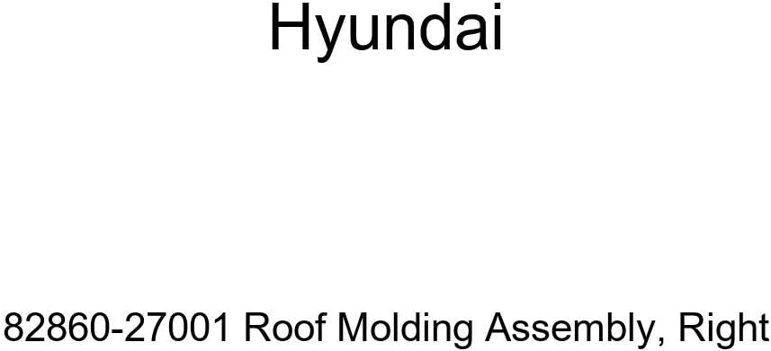 Amazon.com: Genuine Hyundai 82860-27001 Roof Molding Assembly, Right ...