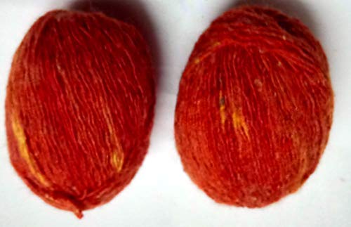 Buy Blue Hut Pack of 1 Holy Hindu Religious Mauli Kalawa Pooja ...