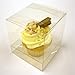 Pack of 25 Clear Cupcake Boxes for 1 Cupcake with Clear Incert : Amazon ...