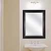 Amazon.com: MCS 23.5x29.5 Large Wall Mirror, Sloped Frame with Walnut ...