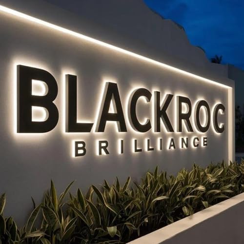 Custom Business Backlit Signage, Personalized 3D Led Reverse Channel ...