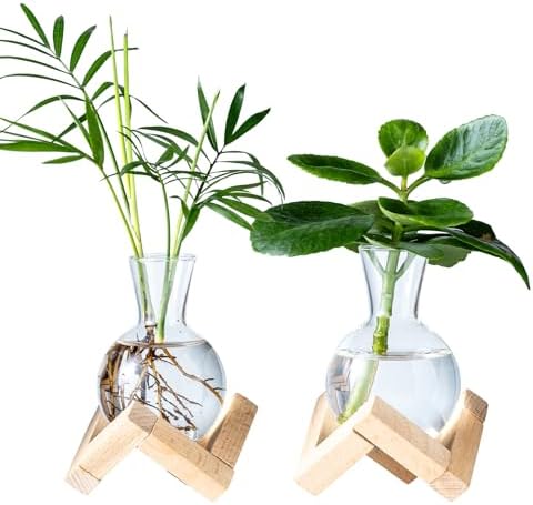 Amazon.com: wangsdjy Propagation Stations, Propagation vases with ...