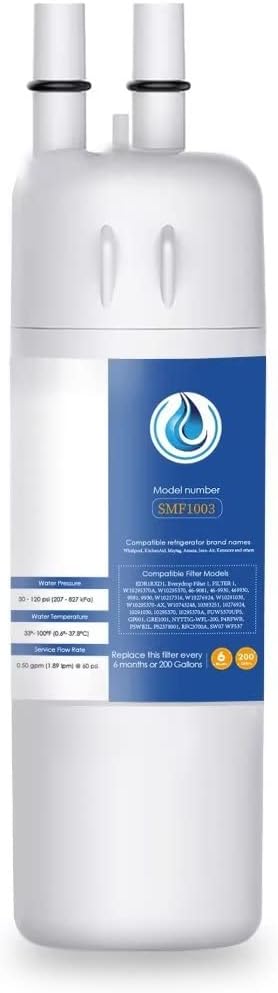 Amazon.com: 2-Pack Replacement for Amana AFI2538AES Refrigerator Water ...
