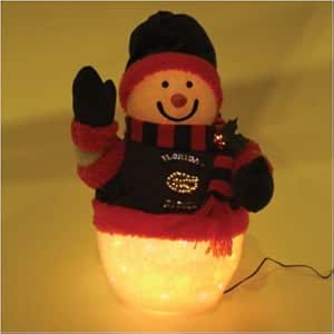 Amazon.com : NCAA 16" Fiber Optic Snowman NCAA Team: Florida Gators ...