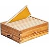 Amazon.com : 10-Frame Beehive Box Langstroth Medium Super Bee Box for ...