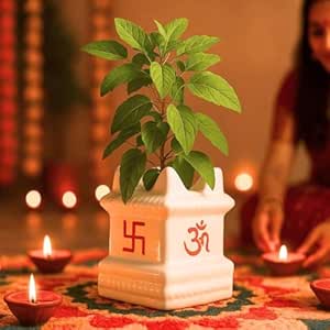 Tulsi Ceramic Plant Pot 5 Inch Pack of 1 | Traditional Pooja Tulsi ...