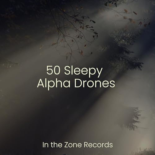 Amazon MusicでRest & Relax Nature Sounds Artists, Chinese Relaxation and ...