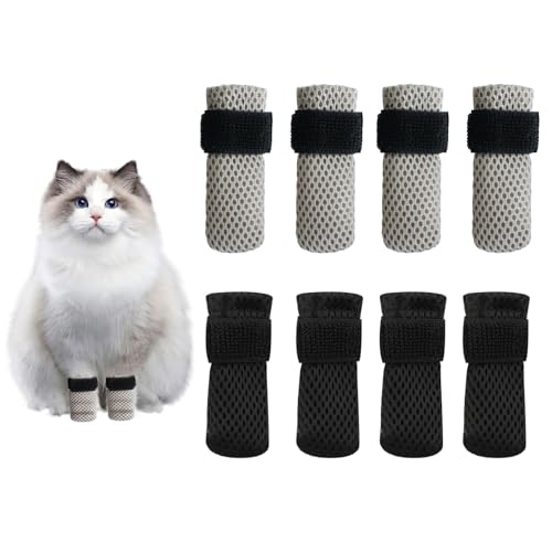 Cat Mittens – The 15 best products compared - Wild Explained