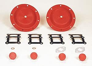 Amazon.com: Sandpiper Diaphragm Pump Repair Kit for Mfr. No. SB1, SS5A ...