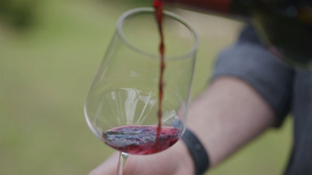 Watch Line 39 Cabernet Sauvignon on Amazon Live