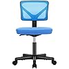 Amazon.com: Sweetcrispy Office Computer Desk Chair, Ergonomic Low-Back ...