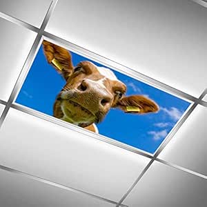 Cow Animal Sky Flexible Fluorescent Light Cover Films Skylight Ceiling ...