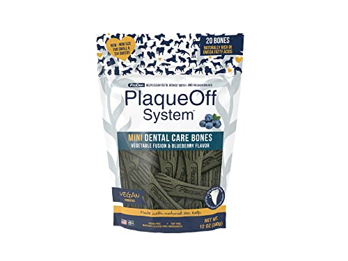 Top 10 Best Plaque Off For Dogs : Reviews & Buying Guide - Katynel