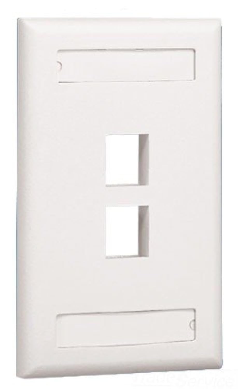 Amazon.com: Panduit NK2FEIY 1-Gang 2-Port Faceplate with Label ...