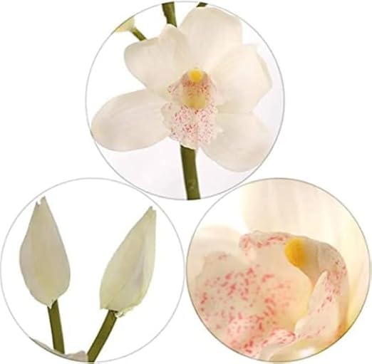 Amazon.com: Larksilk 29" Phalaenopsis Orchid Stem Bundle - Pack of 12 ...
