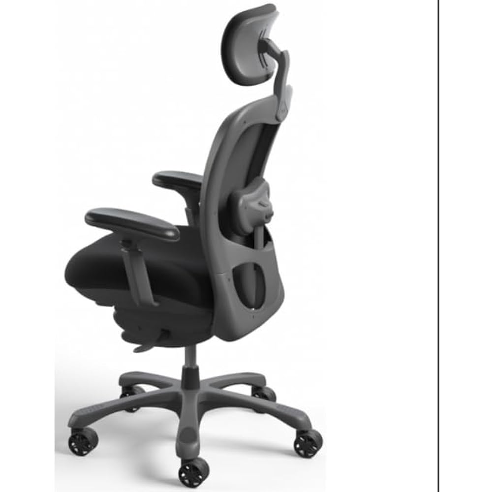 NGL6200DC1 - CXO 6200 Series Mid Back Swivel/Tilt Nepal | Ubuy