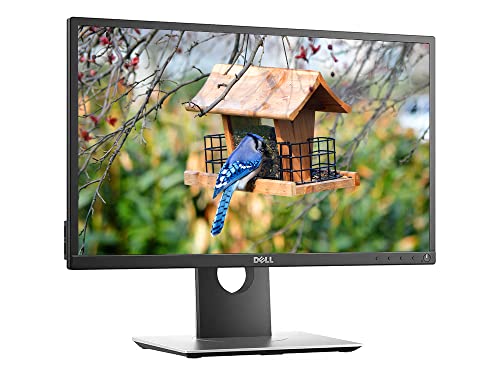 Top 10 Best 20 Inch Computer Monitor : Reviews & Buying Guide - Katynel