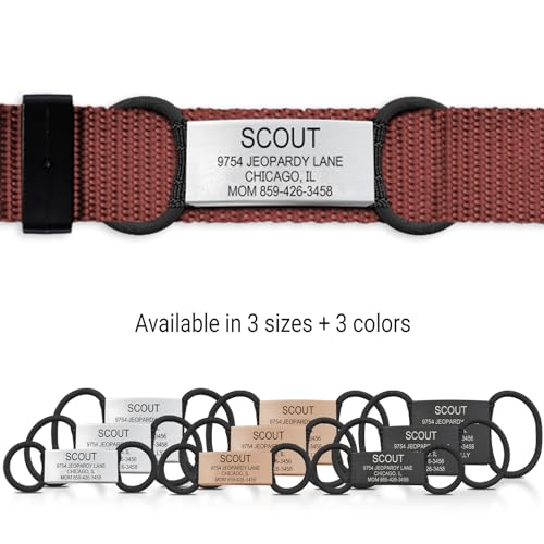 Chewy Dog Tags – The 15 best products compared - Wild Explained