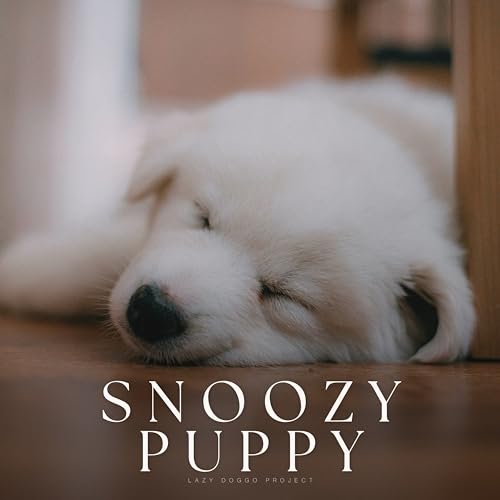 Amazon.co.jp: Snoozy Puppy : Official Pet Care Collection: Digital Music