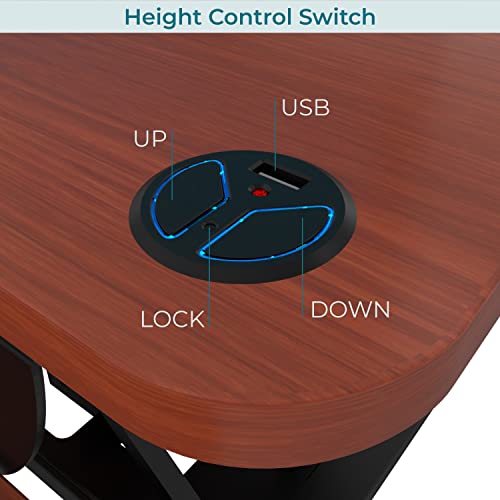 Snapklik.com : VERSADESK 48 Inch Electric Height Adjustable Ergonomic ...