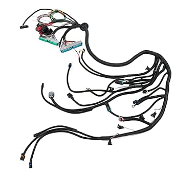 Standalone Wiring Harness LS Swap Engine Harness Standalone Wire Drive ...