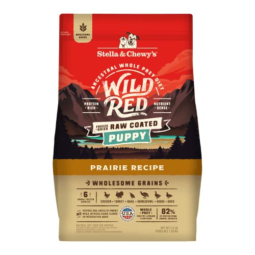 10 Best Chewy Dog Foods Your Pooch Can't Resist: A Comprehensive Buying ...