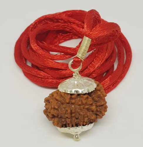 Gemz Mine Fourteen Mukhi Chaudah Mukhi 14 Faced Fourteen Faced 14 Mukhi ...