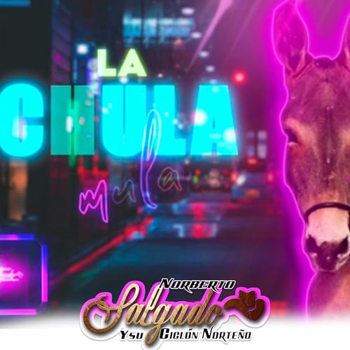 La chula mula by Norberto Salgado y su Ciclón Norteño on Amazon Prime Music