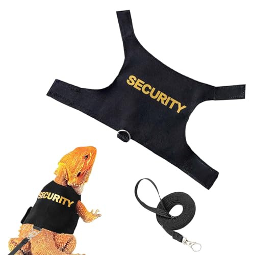 Amazon.com.au Best Sellers: The most popular items in Small Animal ...