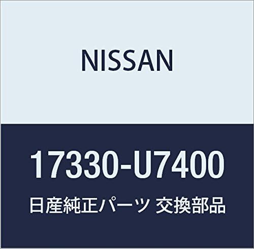 Amazon.co.jp: NISSAN Genuine Parts Valve Assembly Chiecsk Fuuel Part ...