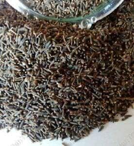Kali Jeeri - Kalijiri - Centratherum Anthelminticum (100gm) : Amazon.in ...