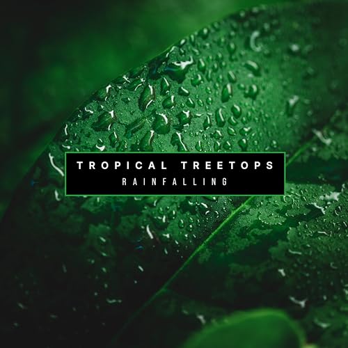 Play Tropical Treetops by rainfalling on Amazon Music
