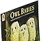 Owl Babies: Waddell, Martin, Benson, Patrick: 9780763617103: Amazon.com ...