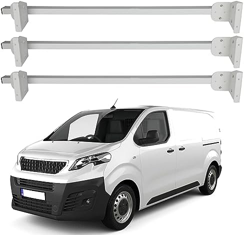 Amazon.com: OCPTY Truck Ladder Rack for Nissan NV200 2013-2018 Luggage ...